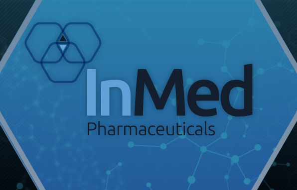 Company Spotlight - Visual Capitalist