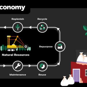 Page 124 – Visual Capitalist