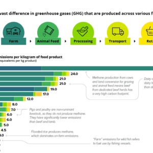 Page 123 – Visual Capitalist
