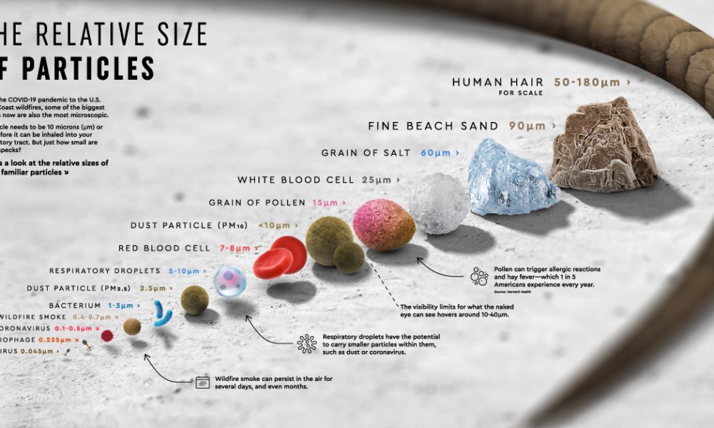 Dust Particles Under Microscope