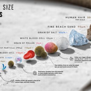 Visualized: Subatomic Particles and Fundamental Forces of Nature