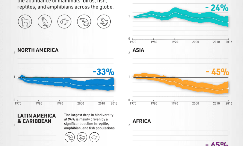 On the Decline: A Look at Earth’s Biodiversity Loss, By Region
