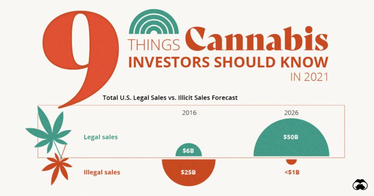 Infographic: How Consumers Are Shaping Cannabis Consumption