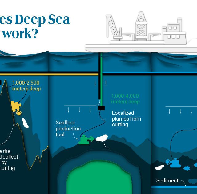 Map: The World's Network of Submarine Cables