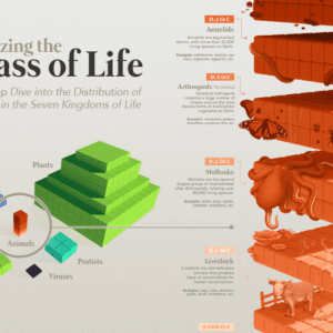 Visualizing the Biomass of All the World's Mammals