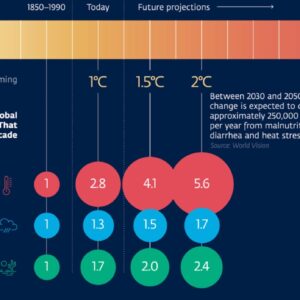 environmental impact Archives - Visual Capitalist