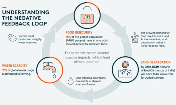 Infographic: 12 Types of Technical Indicators Used by Stock Traders