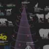 Visualizing 40 Different Animal Sleep Patterns