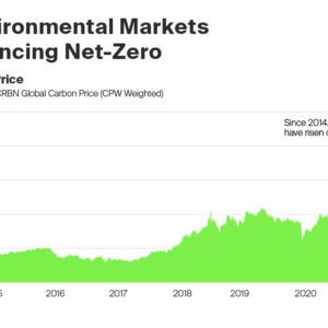 environmental markets Archives - Visual Capitalist