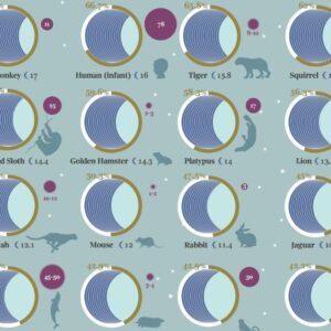 animals Archives - Visual Capitalist