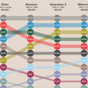 Preethi Lodha - Visual Capitalist