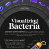Visualized: What Lives in Your Gut Microbiome?