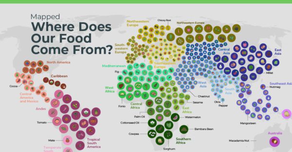 Brazil Potash Company Spotlight - Visual Capitalist