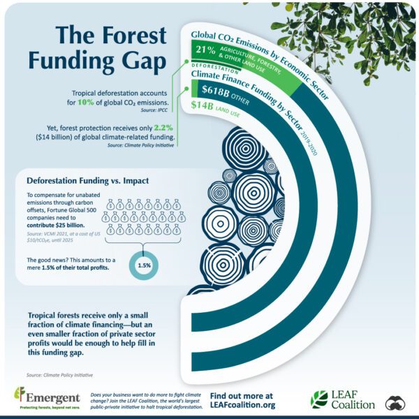 Mapping the World's Forests: How Green is Our Globe?