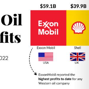 Vipul Sharma - Visual Capitalist