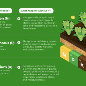 Brazil Potash Archives - Visual Capitalist