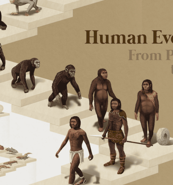 Science Archives - Page 4 of 6 - Visual Capitalist