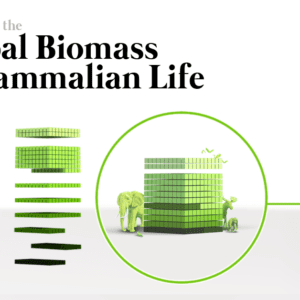 All the Biomass on Earth in One Massive Visualization