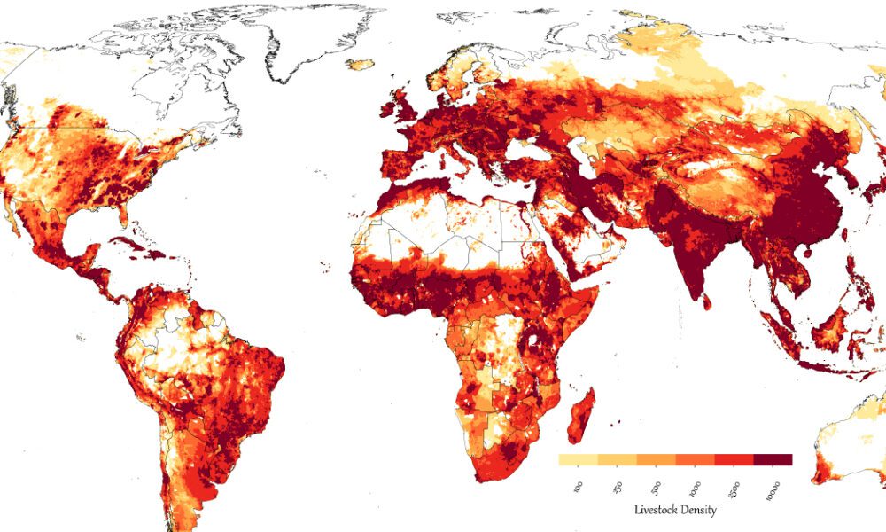 livestock industry Archives - Visual Capitalist