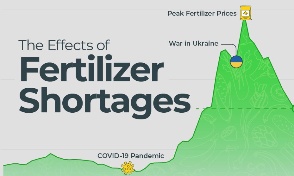 Visualized: The Global Implications of Fertilizer Shortages