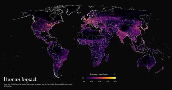 Visualized: The World's Population at 8 Billion, by Country