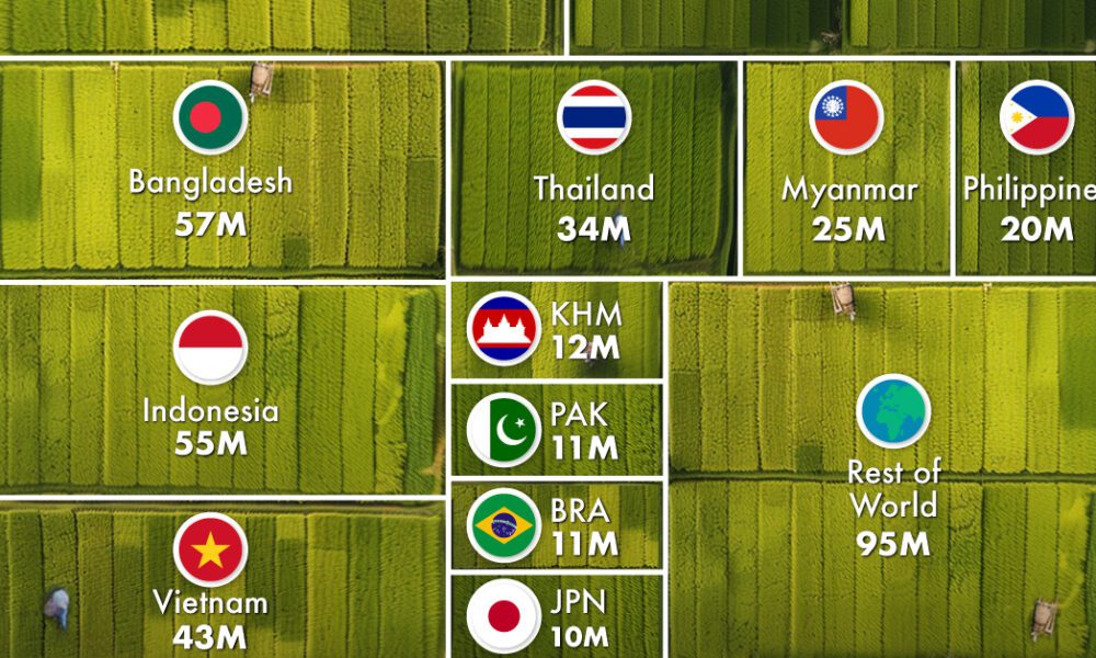 Visualizing the World’s Biggest Rice Producers