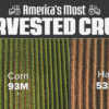 The World's Most Valuable Cash Crop - Visual Capitalist