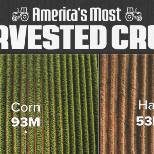 The World's Most Valuable Cash Crop - Visual Capitalist