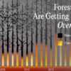 Visualizing the Five Drivers of Forest Loss