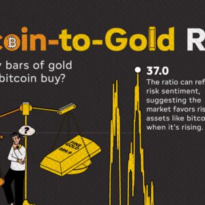 Visualized: Bitcoin Returns vs. Major Asset Classes