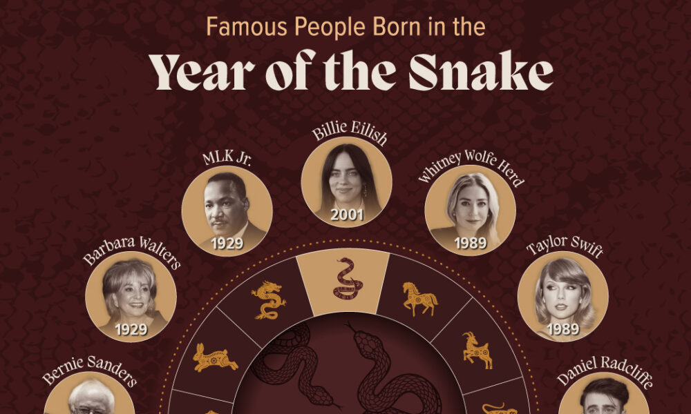 Ranked: Semiconductor Companies by Industry Revenue Share