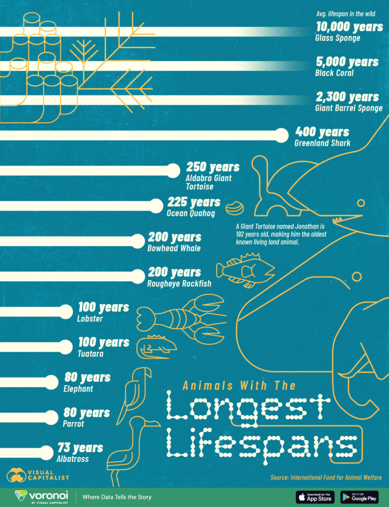 Charted: The Longest-Living Animals on Earth