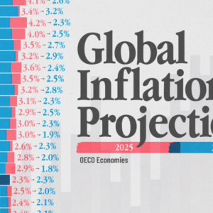 Visualizing the Top Global Risks in 2024