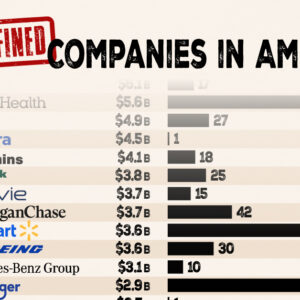 Mapped: The Top Health Insurance Companies by State