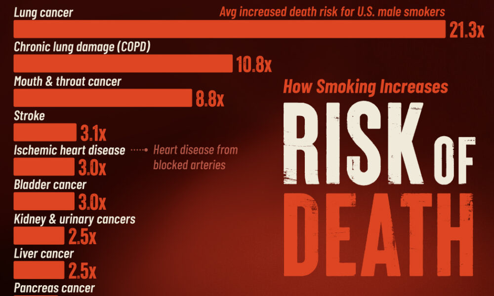 Mapped: Share of College Graduates in Each U.S. State