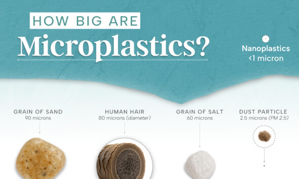 Infographic: How Long Does Plastic Take to Decompose?